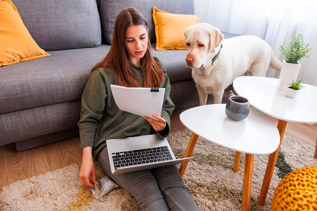 Do I need a dog breeding licence? Check online.