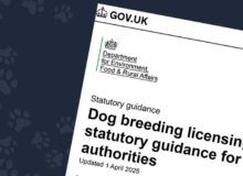2024 Updates to Dog Breeding Licensing in the UK